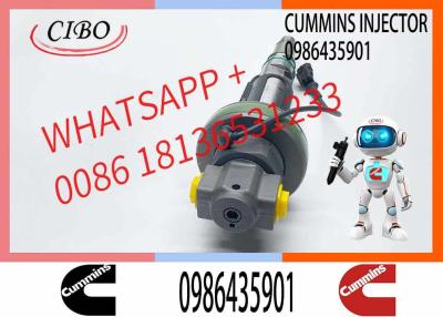 China High Quality Diesel Fuel Injector 0986435901 Common Rail Injector Fits QSK19 Engine for sale