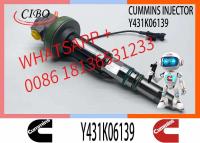 China Fuel Injector 2867147 2867148 2882077 2882078 0986435902 Y431K05390 for CUMMS QSK19 QSK38 QSK50 for sale