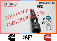 China High Pressure Fuel Pump4928345 4928346 4928349 4954374 4954801 4984457 362744RX 6516-11-1412 6560-11-1113 7446RX 4928347 4928348 for sale