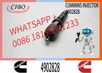 China High Quality and Low Price INJECTOR 6560-11-1114 6560-11-1110 4902828 for komatsu SAA6D170E-3 for sale