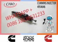 China Diesel Unit Injector 570016 4954646 4076963 4903028 1481827 1521978 1764365 579261 for sale