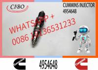 China Diesel Unit Injector 570016 579251 579261 4954648 1764364 579261 for Diesel Engine for sale