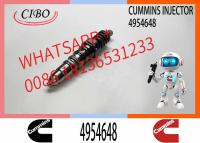 China Diesel Unit Injector 570016 579251 579261 4954648 1764364 579261 for Diesel Engine for sale