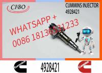 China Injection Valve 4928421 for diesel Engine Fuel Injection Pump Injector Assembly High Quality Supply for sale