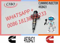 China Injection Valve 4928421 for diesel Engine Fuel Injection Pump Injector Assembly High Quality Supply for sale