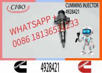 China Injection Valve 4928421 for diesel Engine Fuel Injection Pump Injector Assembly High Quality Supply for sale