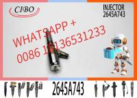 China Fuel Injector 321-0990 2645A743 3210990 for  C6.6 Engine for sale