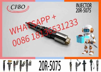 China Rail Fuel Injector 20R-5036 20R-5077 20R-5079 20R-5075 20R-5073 456-3493 460-8213 456-3544 for sale