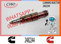 China Diesel Engine Parts 208663 Diesel Universal Rail Injector 2894920 2482244 for sale