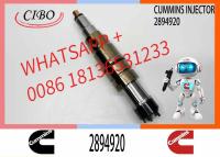 China Diesel-Common-Rail-Injektor 2086663 1933613 1881565 2894920 for sale