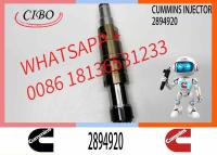 China Diesel-Common-Rail-Injektor 2086663 1933613 1881565 2894920 for sale