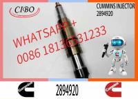 China Diesel-Common-Rail-Injektor 2086663 1933613 1881565 2894920 for sale