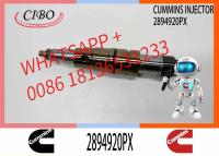 China New Fuel Injector 4327147 4307217 2897320 2894920PX 5579415 5579415PX 2872405 2894920 4327147RX 6513589PX for sale