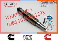 China High Performance Diesel Fuel Injector 3135830 4307217NX 5579423PX 4307217 5579423 More for sale