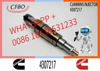 China High Performance Diesel Fuel Injector 3135830 4307217NX 5579423PX 4307217 5579423 More for sale