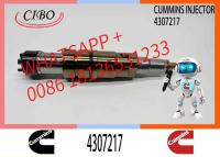 China High Performance Diesel Fuel Injector 3135830 4307217NX 5579423PX 4307217 5579423 More for sale