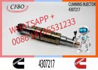 China High Performance Diesel Fuel Injector 3135830 4307217NX 5579423PX 4307217 5579423 More for sale