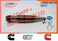 China High Performance Diesel Fuel Injector 3135830 4307217NX 5579423PX 4307217 5579423 More for sale