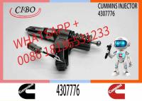 China Injector 4307516 4384360 4307776 3411756 for QSM11 ISM11 M11 Diesel Engine Parts Nozzle Assembly for sale