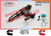 China Injector 4307516 4384360 4307776 3411756 for QSM11 ISM11 M11 Diesel Engine Parts Nozzle Assembly for sale