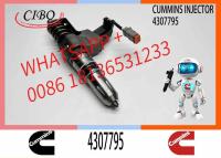 China 4307776 4307795 7387360 3411767 3411766 3411765 3411764 3411762 3411761 3411760 Fuel Injector Generator Parts Accessories for sale
