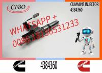 China Injector 4307516 4384360 4307776 3411756 for QSM11 ISM11 M11 Diesel Engine Parts Nozzle Assembly for sale