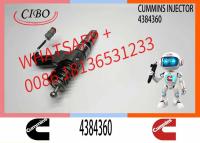 China Injector 4307516 4384360 4307776 3411756 for QSM11 ISM11 M11 Diesel Engine Parts Nozzle Assembly for sale