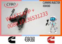 China Injector 4307516 4384360 4307776 3411756 for QSM11 ISM11 M11 Diesel Engine Parts Nozzle Assembly for sale