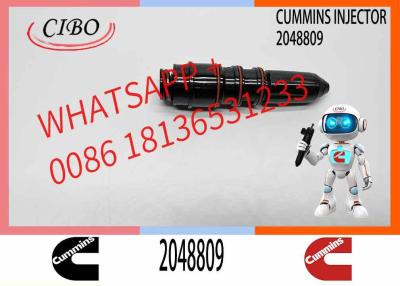 China New Stainless Steel Fuel Injector for N14 Diesel Engine (2048809 3080931F 3087558F 4307795 6087807) for sale