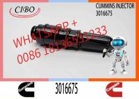 China Fuel Injector 3016675 3003958 for K19 PT Diesel Engine for sale