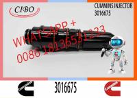 China Fuel Injector 3016675 3003958 for K19 PT Diesel Engine for sale