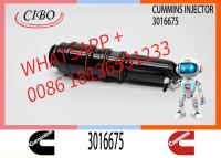 China Fuel Injector 3016675 3003958 for K19 PT Diesel Engine for sale