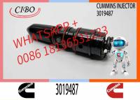 China PT Pump Fuel Pump 3165437 3019487 diesel Injection Pump for sale