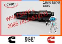 China PT Pump Fuel Pump 3165437 3019487 diesel Injection Pump for sale