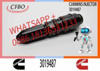 China PT Pump Fuel Pump 3165437 3019487 diesel Injection Pump for sale