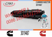 China PT Pump Fuel Pump 3165437 3019487 diesel Injection Pump for sale