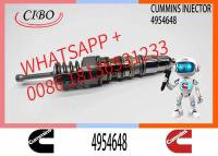 China Common Rail Injector Fuel Injecto 4954648 579261 570016 1731091 for QSKX15 Excavator QSX15 ISX15 X15 for sale
