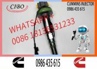 China High Pressure Fuel Pump 2867148 2881089 0 986 435 613 0 986 435 616 0 986 435 902 0 986 435 905 0986 435 615 for sale