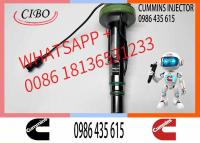 China High Pressure Fuel Pump 2867148 2881089 0 986 435 613 0 986 435 616 0 986 435 902 0 986 435 905 0986 435 615 for sale