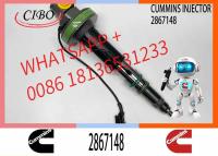 China Common Rail Injector 2882079 4964172 4964170 4955524 2867148 2867149 4964171 for QSK19 QSK38 QSK50 QSK60 for Excavator Parts for sale