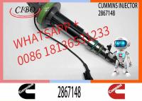 China Common Rail Injector 2882079 4964172 4964170 4955524 2867148 2867149 4964171 for QSK19 QSK38 QSK50 QSK60 for Excavator Parts for sale