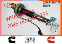 China Common Rail Injector 2882079 4964172 4964170 4955524 2867148 2867149 4964171 for QSK19 QSK38 QSK50 QSK60 for Excavator Parts for sale