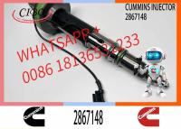 China Common Rail Injector 2882079 4964172 4964170 4955524 2867148 2867149 4964171 for QSK19 QSK38 QSK50 QSK60 for Excavator Parts for sale