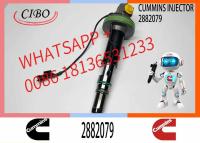 China Common Rail Injector 2882079 4964172 4964170 4955524 2867148 2867149 4964171 for QSK19 QSK38 QSK50 QSK60 for Excavator Parts for sale