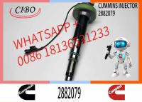 China Common Rail Injector 2882079 4964172 4964170 4955524 2867148 2867149 4964171 for QSK19 QSK38 QSK50 QSK60 for Excavator Parts for sale