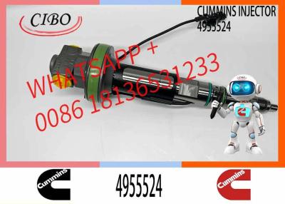 China Common Rail Injector 2882079 4964172 4964170 4955524 2867148 2867149 4964171 for QSK19 QSK38 QSK50 QSK60 for Excavator Parts for sale