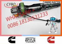 China Common Rail Injector 2882079 4964172 4964170 4955524 2867148 2867149 4964171 for QSK19 QSK38 QSK50 QSK60 for Excavator Parts for sale