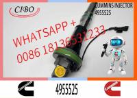China ForCummins QSK19 Diesel Engine Fuel Injector Part 4964171 4955525 Y431K05417 for sale