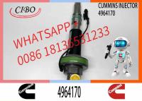 China Common Rail Injector 2882079 4964172 4964170 4955524 2867148 2867149 4964171 for QSK19 QSK38 QSK50 QSK60 for Excavator Parts for sale