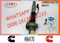 China Common Rail Injector 2882079 4964172 4964170 4955524 2867148 2867149 4964171 for QSK19 QSK38 QSK50 QSK60 for Excavator Parts for sale